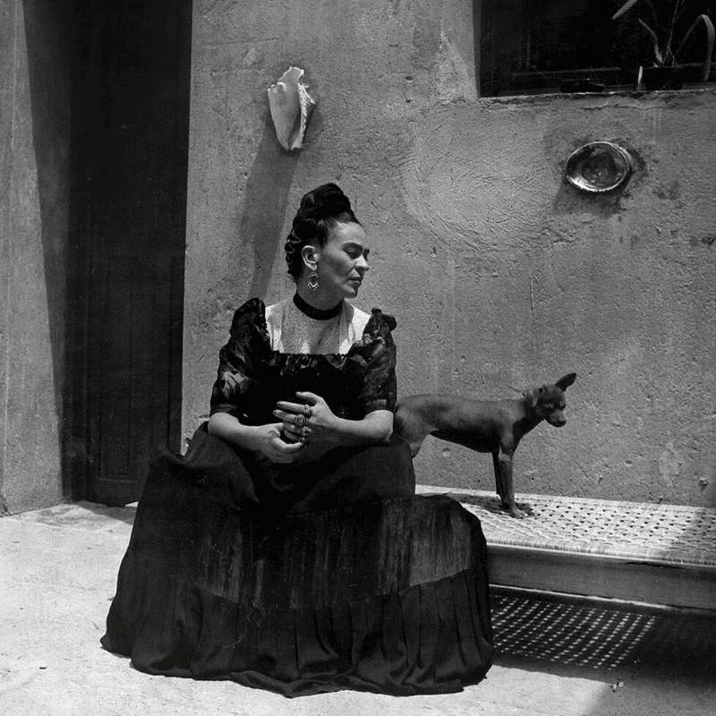Analyze and understand the style of the Frida Kahlo paintings